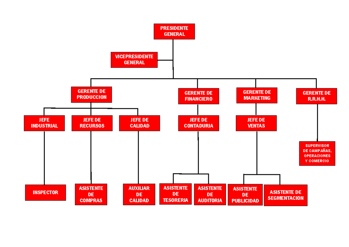 Organigrama - PRESIDENTE GENERAL VICEPRESIDENTE GENERAL GERENTE DE ...