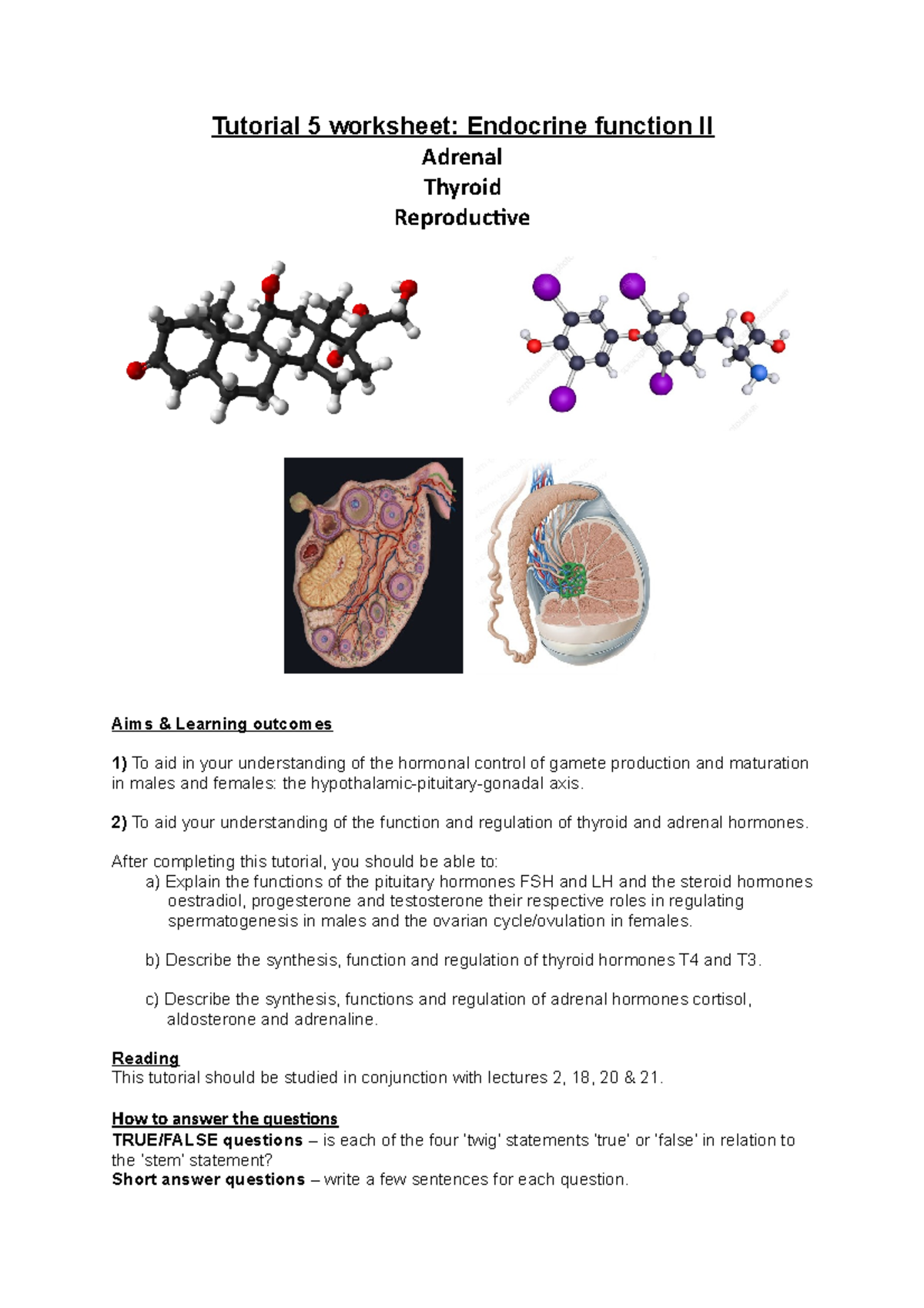 Tutorial 5 - endocrine function II - 2023 student version - Tutorial 5 worksheet: Endocrine ...