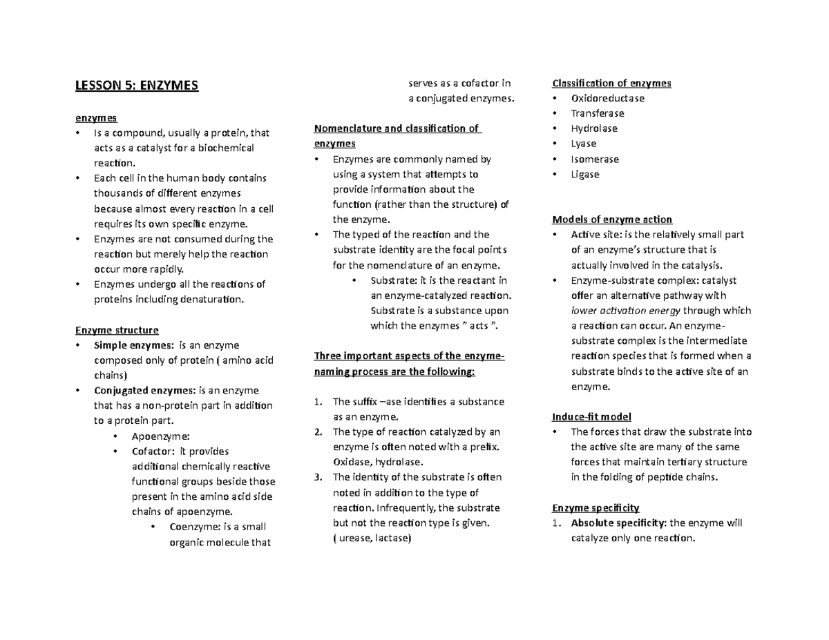 Biochem- Enzymes- Lesson 5 - LESSON 5: ENZYMES enzymes • Is a compound ...