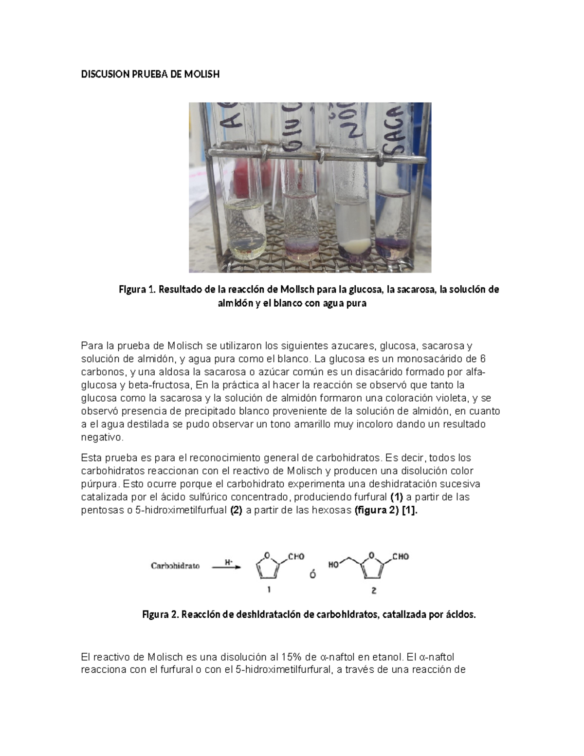 Discusion Prueba DE Molish - DISCUSION PRUEBA DE MOLISH Figura 1 ...