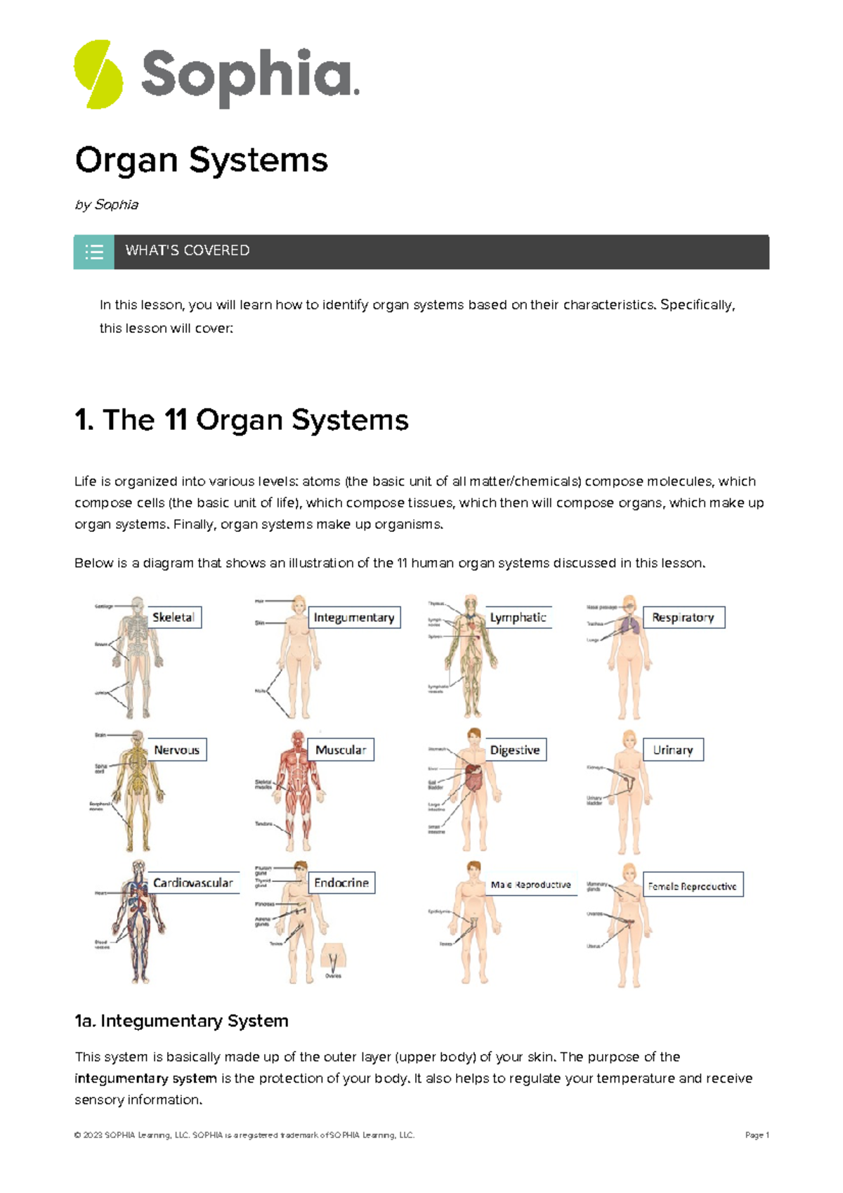 Organ-systems-3 - This is the first PDF for the Human Biology. - Organ ...