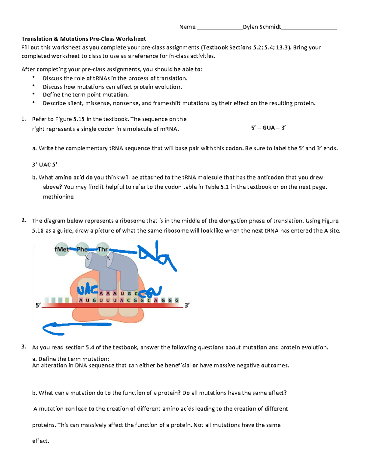 Week 6b Pre-Class Reading Guide - Translation Mutations.pdf - 2. As you ...