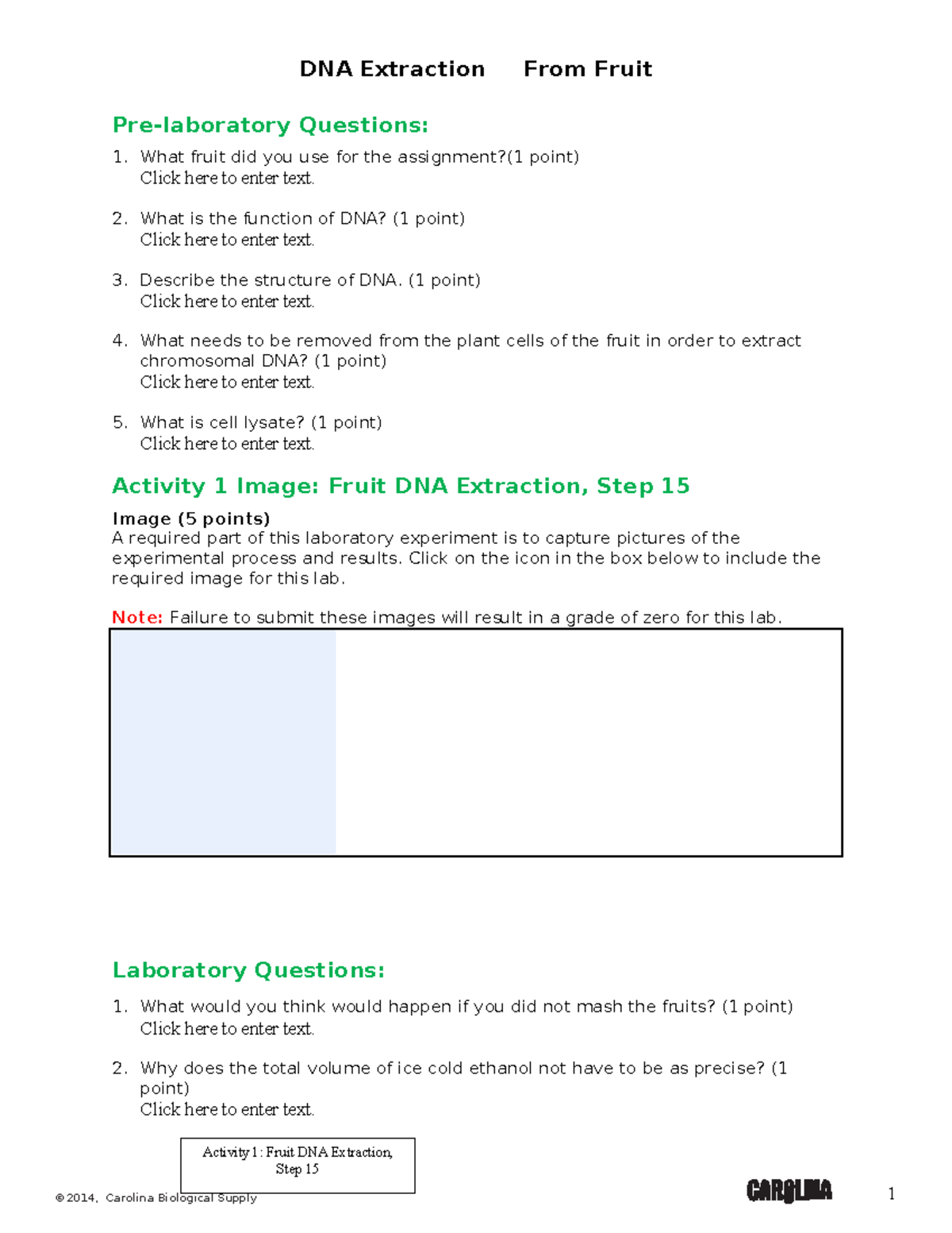 M8 Lab Report - assignment worksheet - ©2014, Carolina Biological ...
