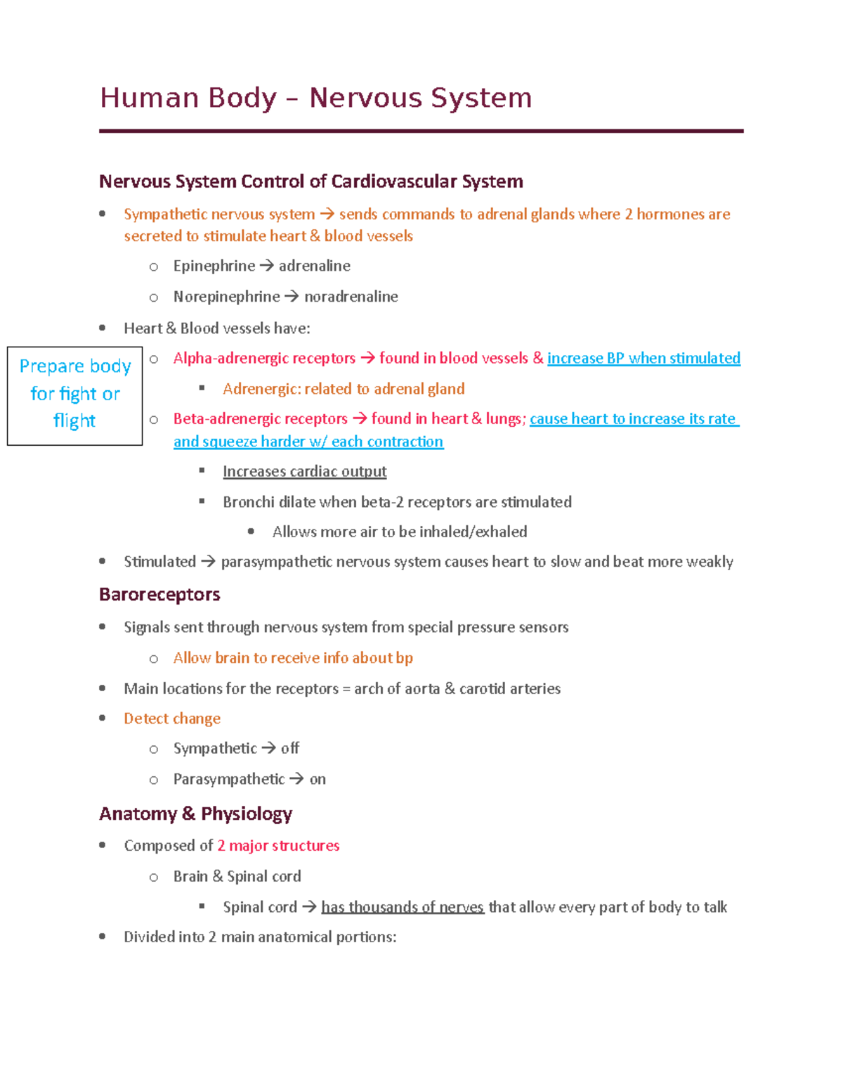 Nervous system - RC Health Services Book Notes - Human Body – Nervous ...