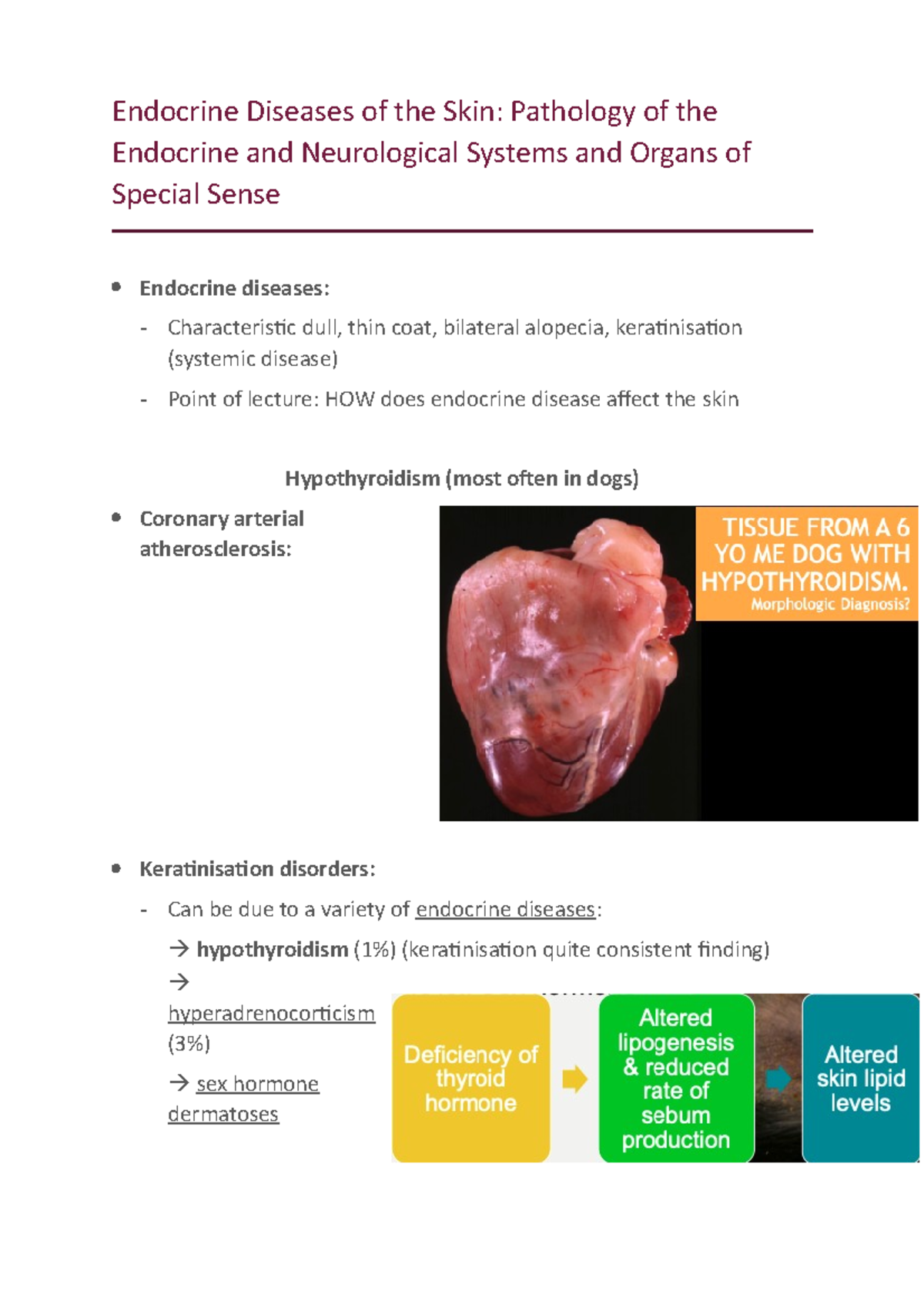 Endocrine Diseases of the Skin Pensoss - Endocrine Diseases of the Skin ...