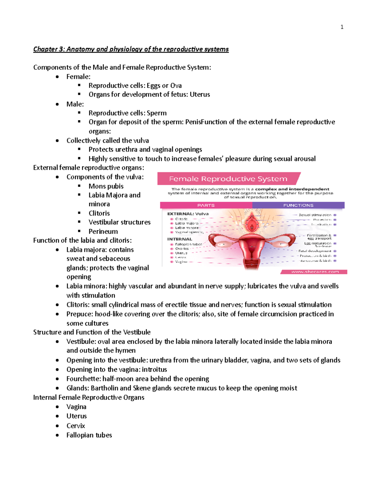 210 exam 1 - Maternity review early concepts - Chapter 3: Anatomy and physiology of the ...