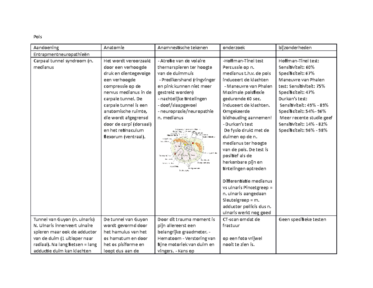 Patroonherkenning Pols - Pols Aandoening Anatomie Anamnestische tekenen ...