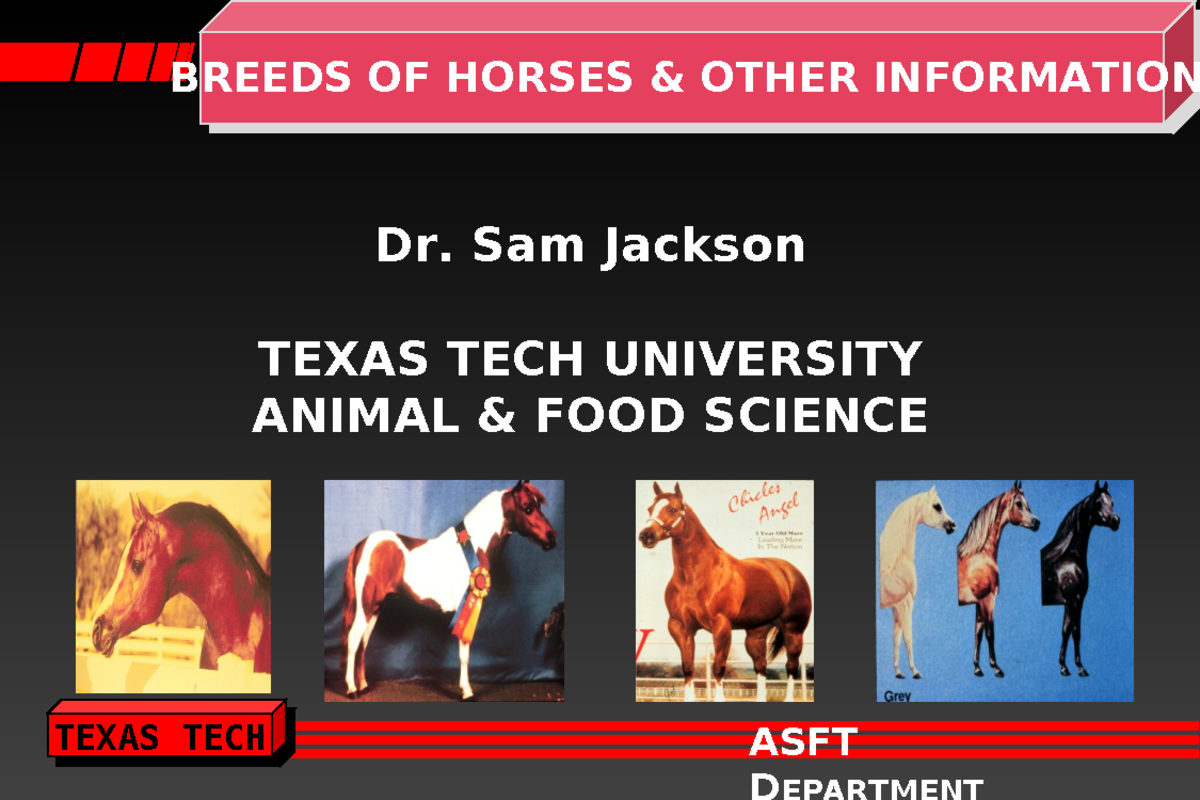 Horses ppt part 1 - BREEDS OF HORSES OTHER INFORMATION Dr. Sam Jackson ...