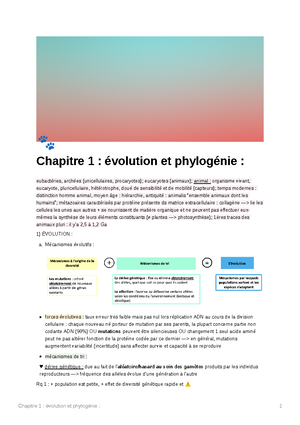 Les nématodes pdf - Les nématodes (vers ronds) I. Position systématique ...