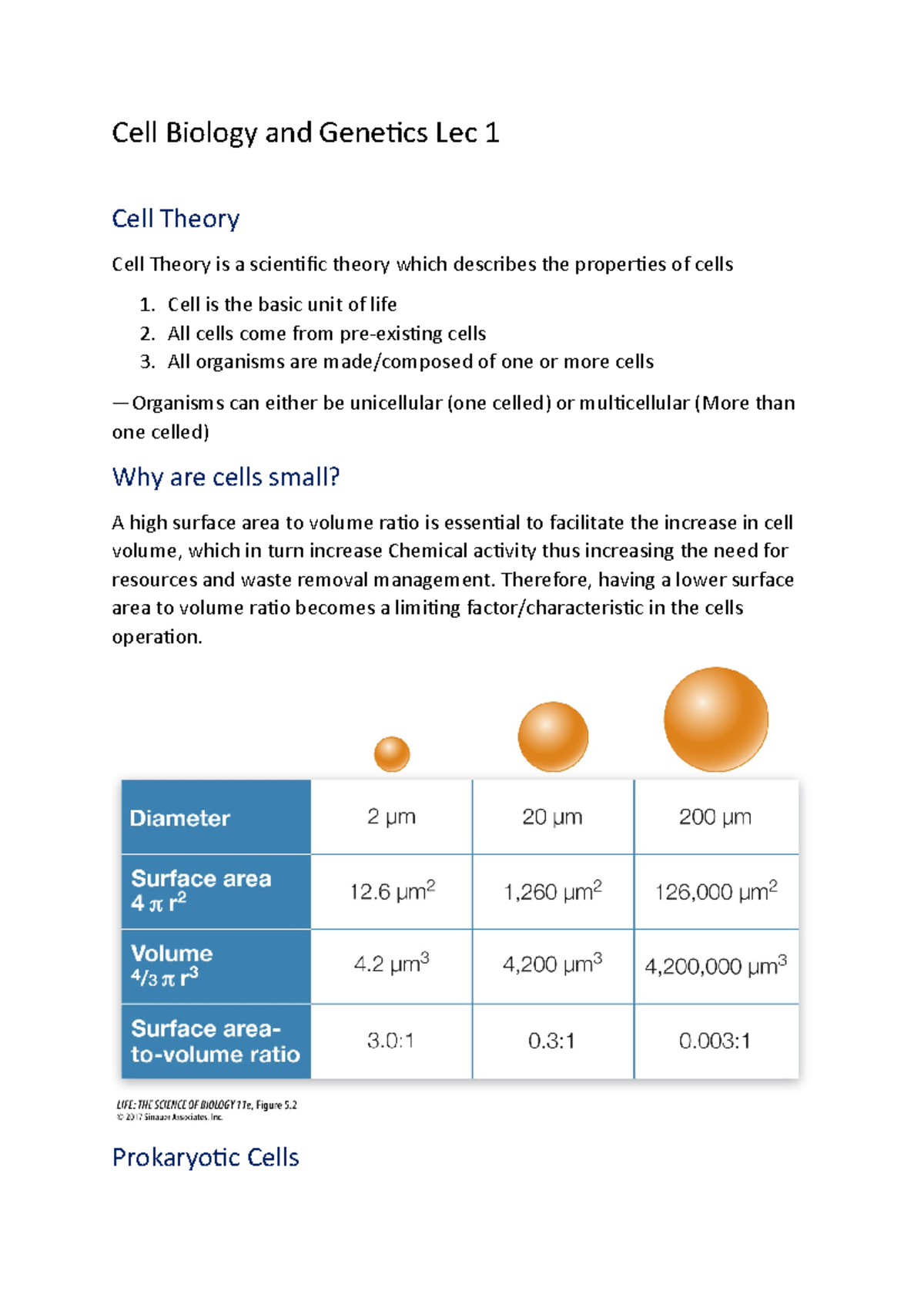Week 1 Lecture - Cells, Organelles and their Function - Cell Biology ...