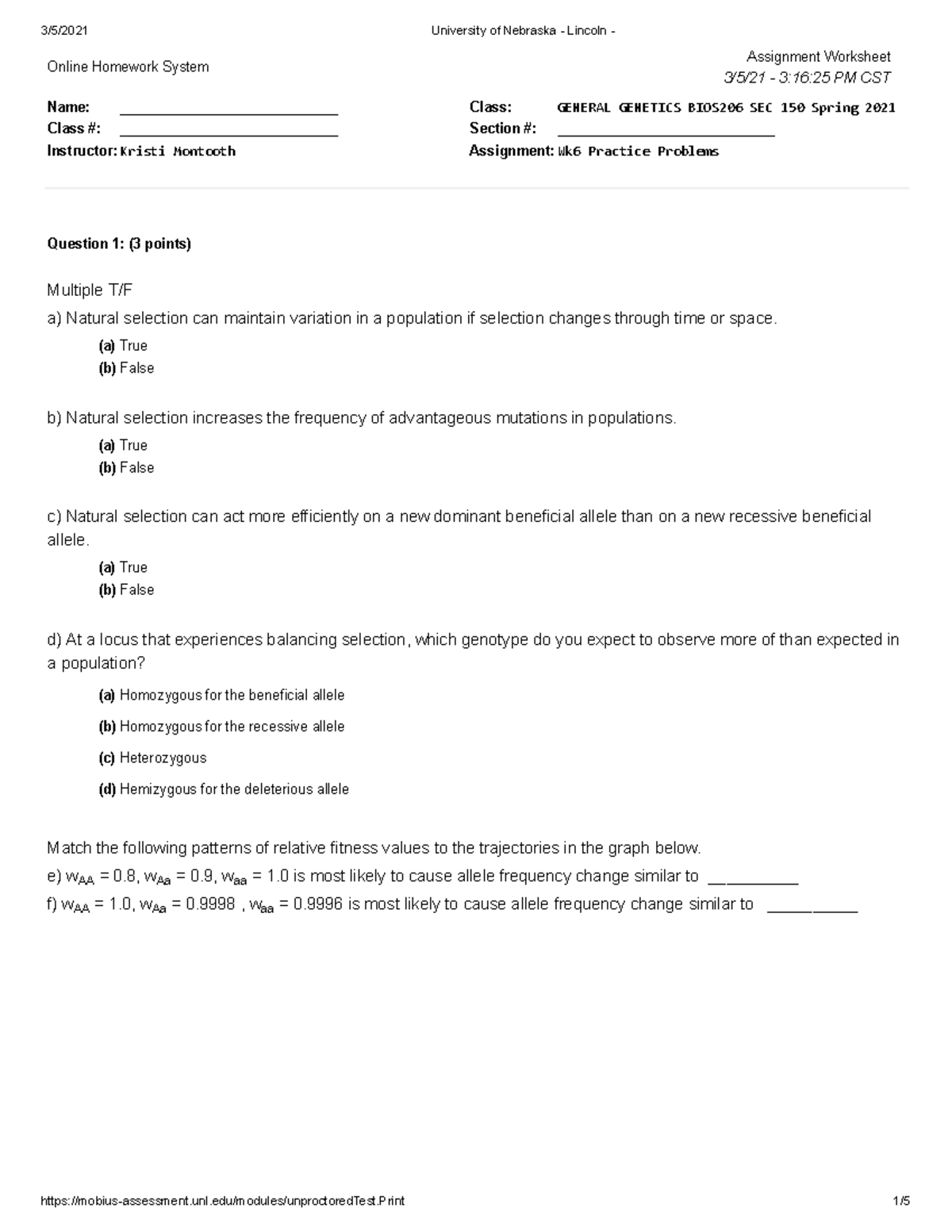 Practice Problems 6 - help - Online Homework System Assignment ...