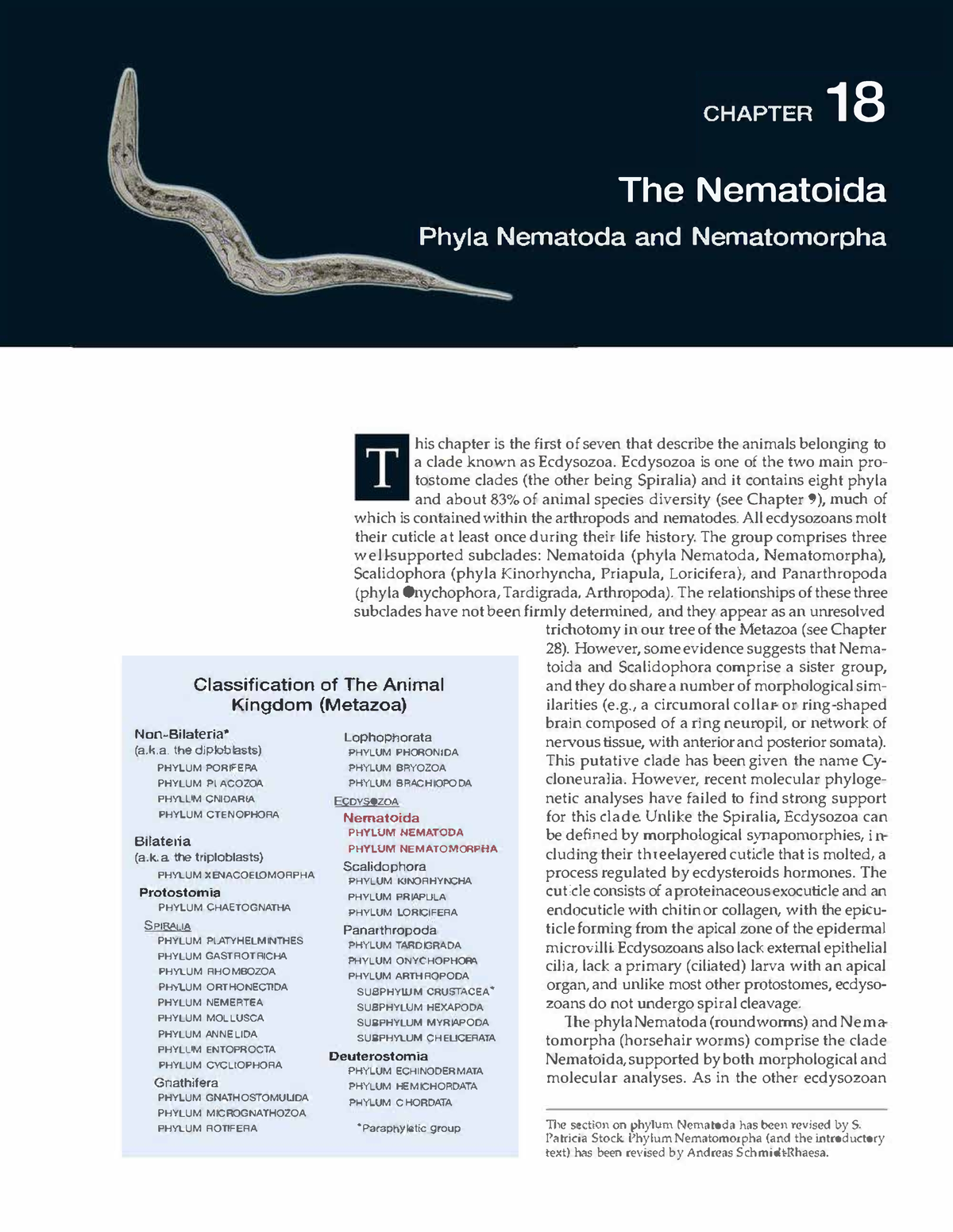 The Nematoida Phyla Nematoda and Nematomorpha - CHAPTER 18 The ...