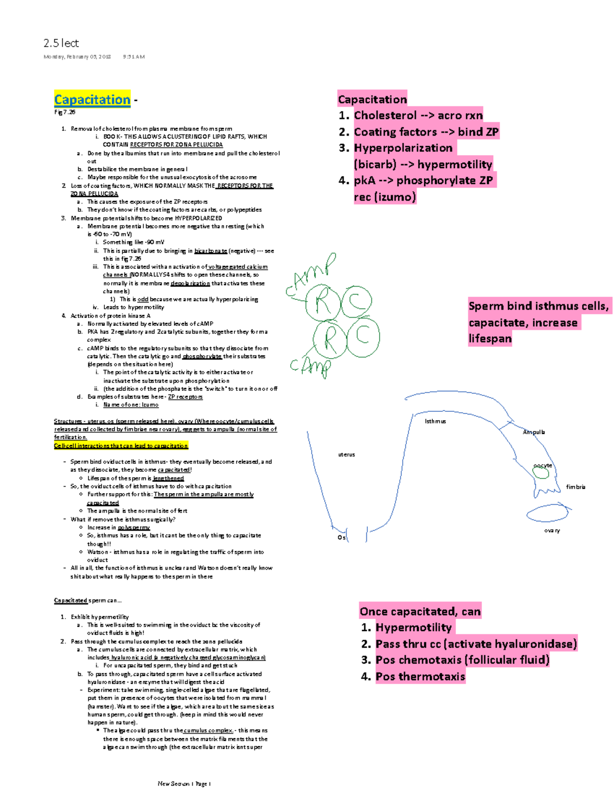Devo notes week of 2-5 to 2-9 - 2 lect Monday, February 05, 2018 9:51 ...