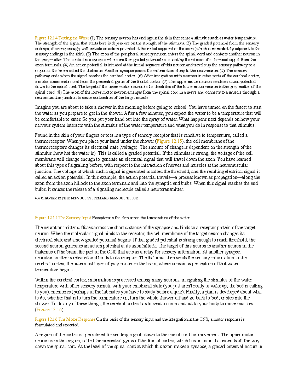 Physiology notes 52 - Figure 12 Testing the Water (1) The sensory ...