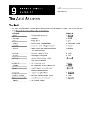 Exercise 6 Review Sheet - Copyright © 2019 Pearson Education, Inc. 1 6 ...