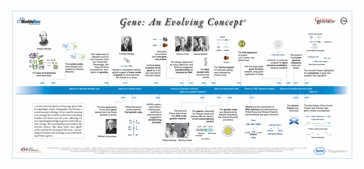 GENE Timeline poster - GENE20001 - Studocu