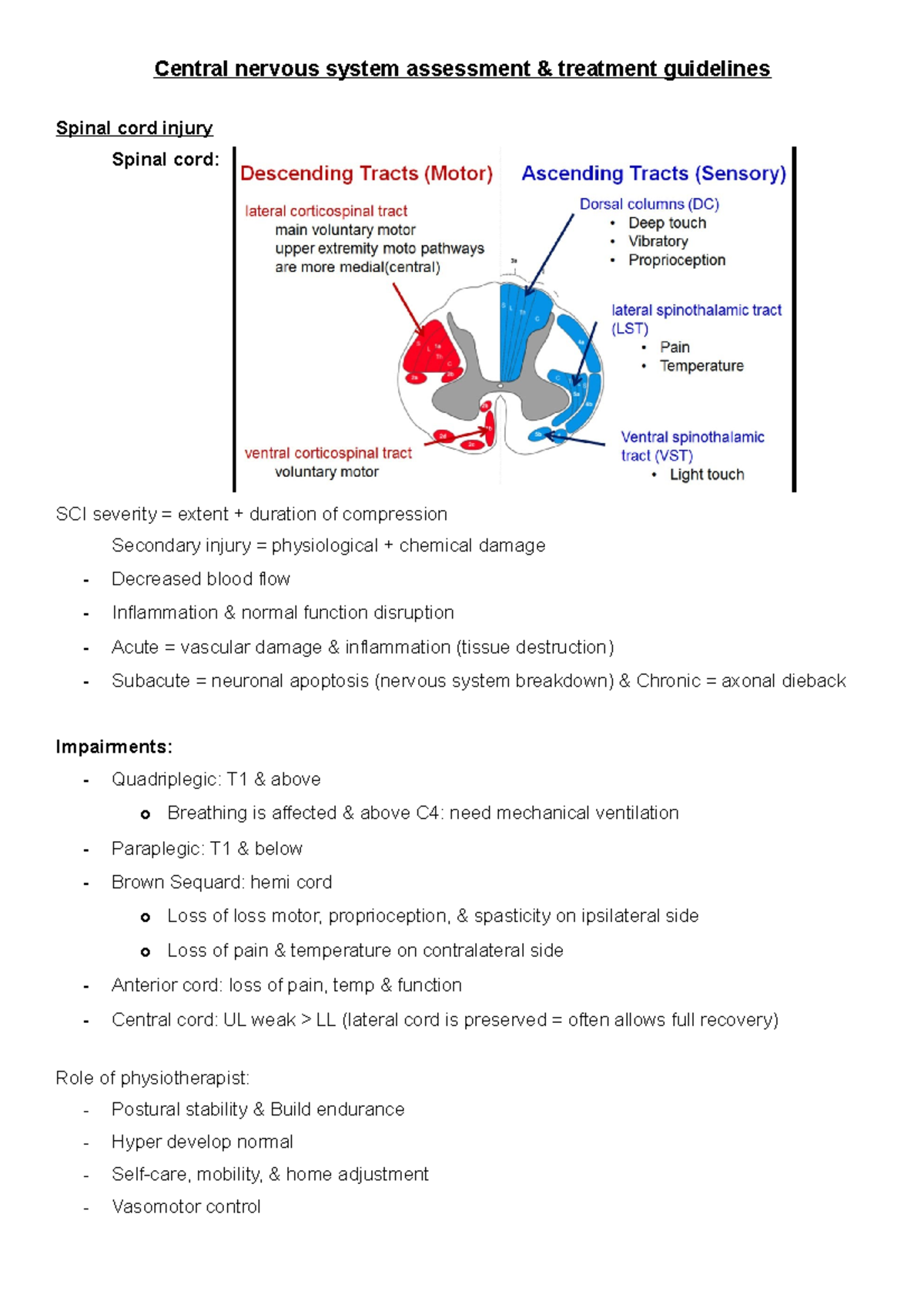 CNS - central nervous system - Central nervous system assessment ...