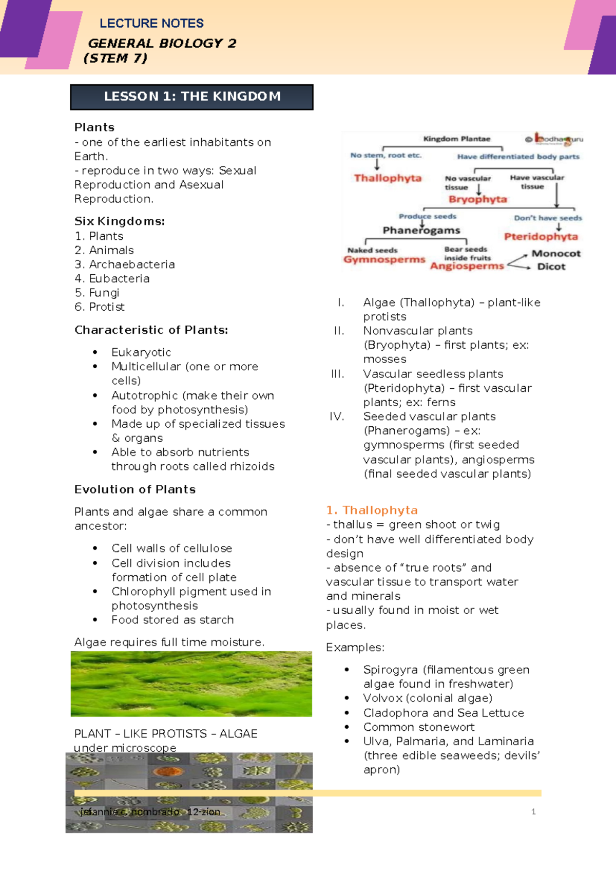 Notes BIO 2 STEM 7 - LESSON 1: THE KINGDOM PLANTAE GENERAL BIOLOGY 2 ...