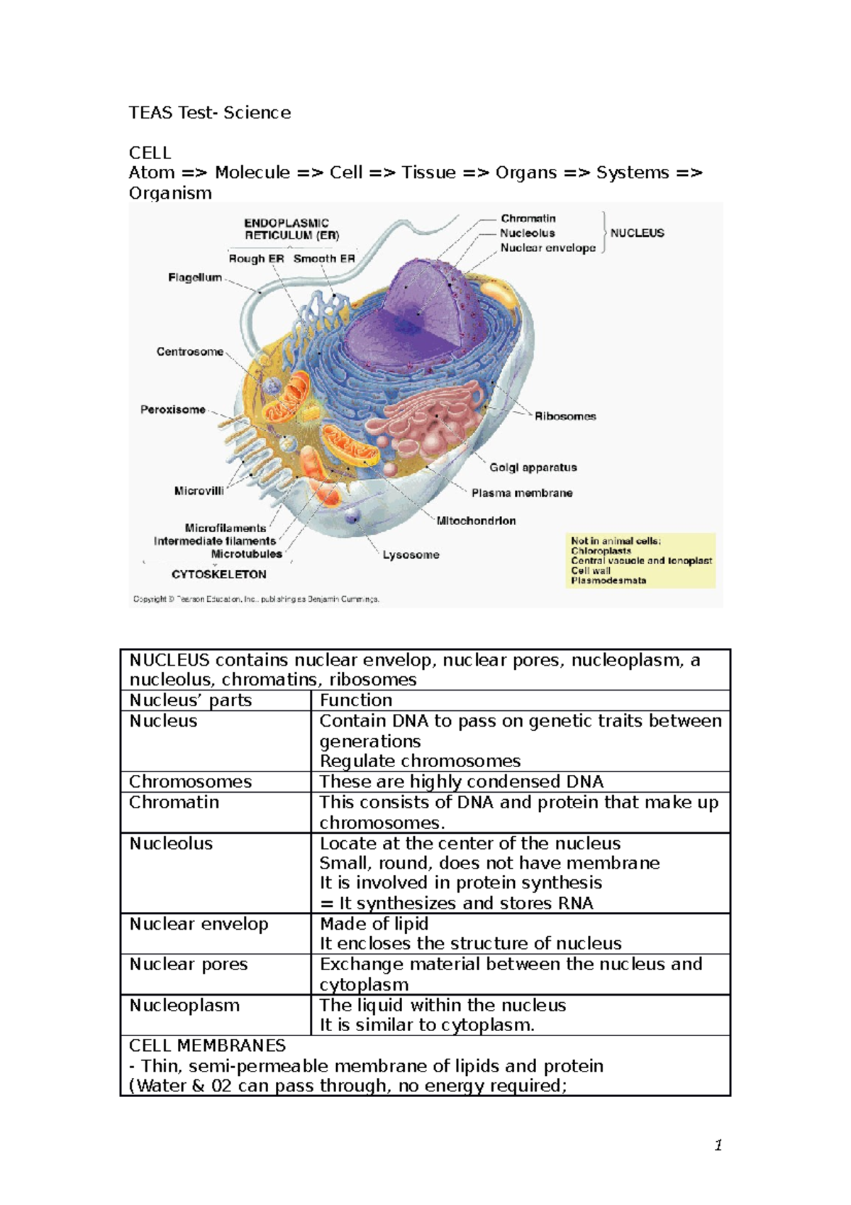 TEAS Test- Science - TEAS Test- Science CELL Atom => Molecule => Cell ...