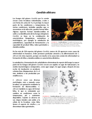 Linea del tiempo. Microbiologia - Warning: TT: undefined function: 32 Warning: TT: undefined ...