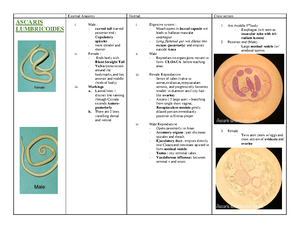 UNIT 2 - MIL QUIPPER - Unit 2: The Evolution of Traditional to New ...