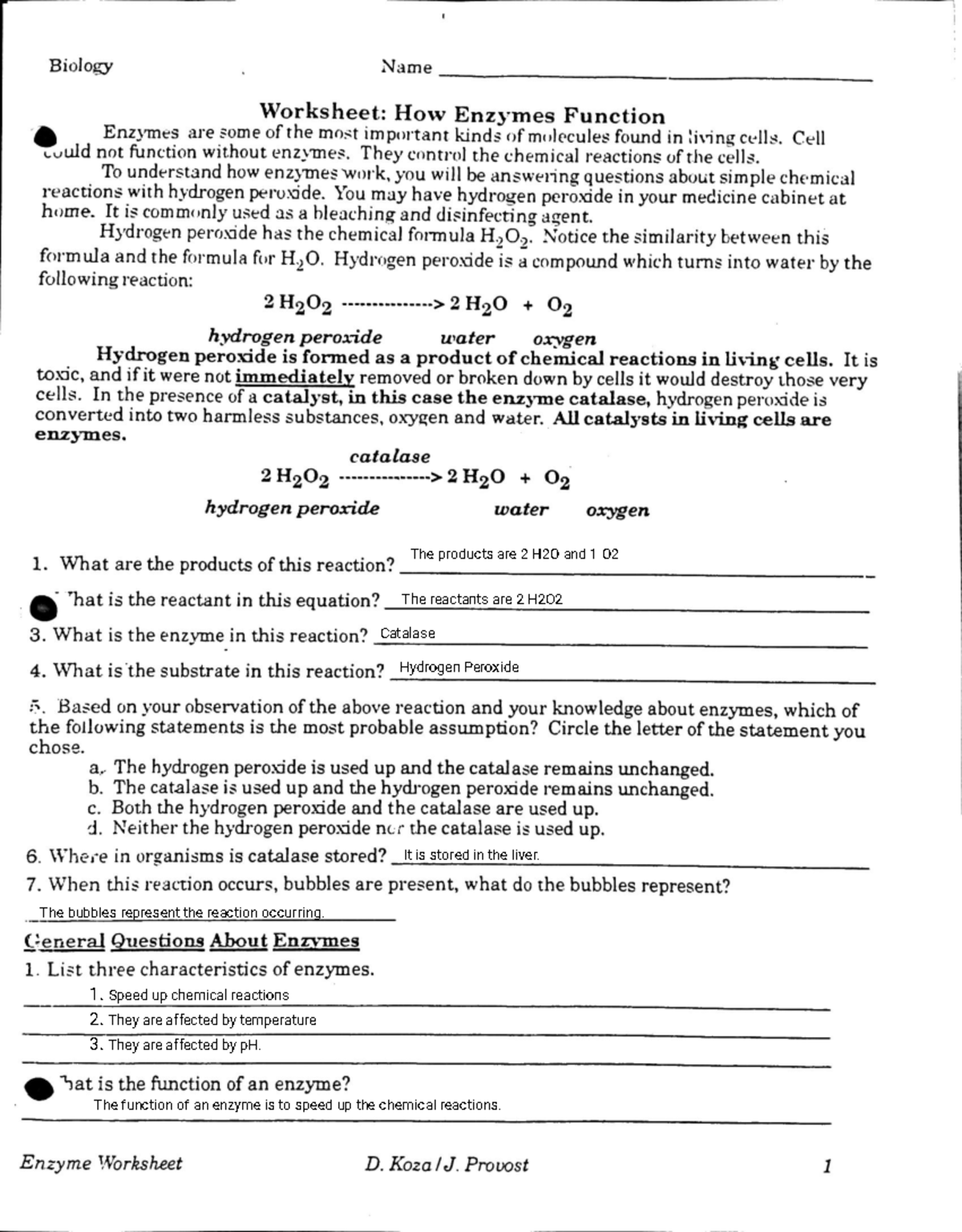 Enzyme worksheets - Name Worksheet: How Enzymes Function Enzymes are ...
