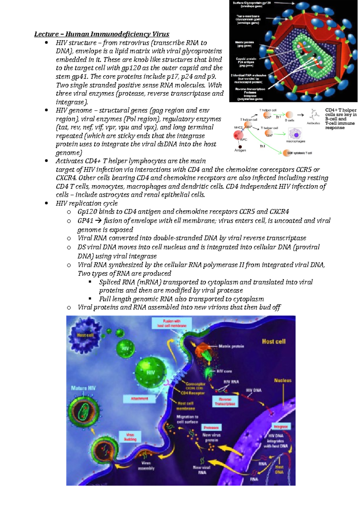 ELC Lecture – Human Immunodeficiency Virus - These are knob like ...
