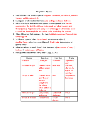 Basic concept-Stage of labor - ACTIVELEARNINGTEMPLATE= Basic Concept ...
