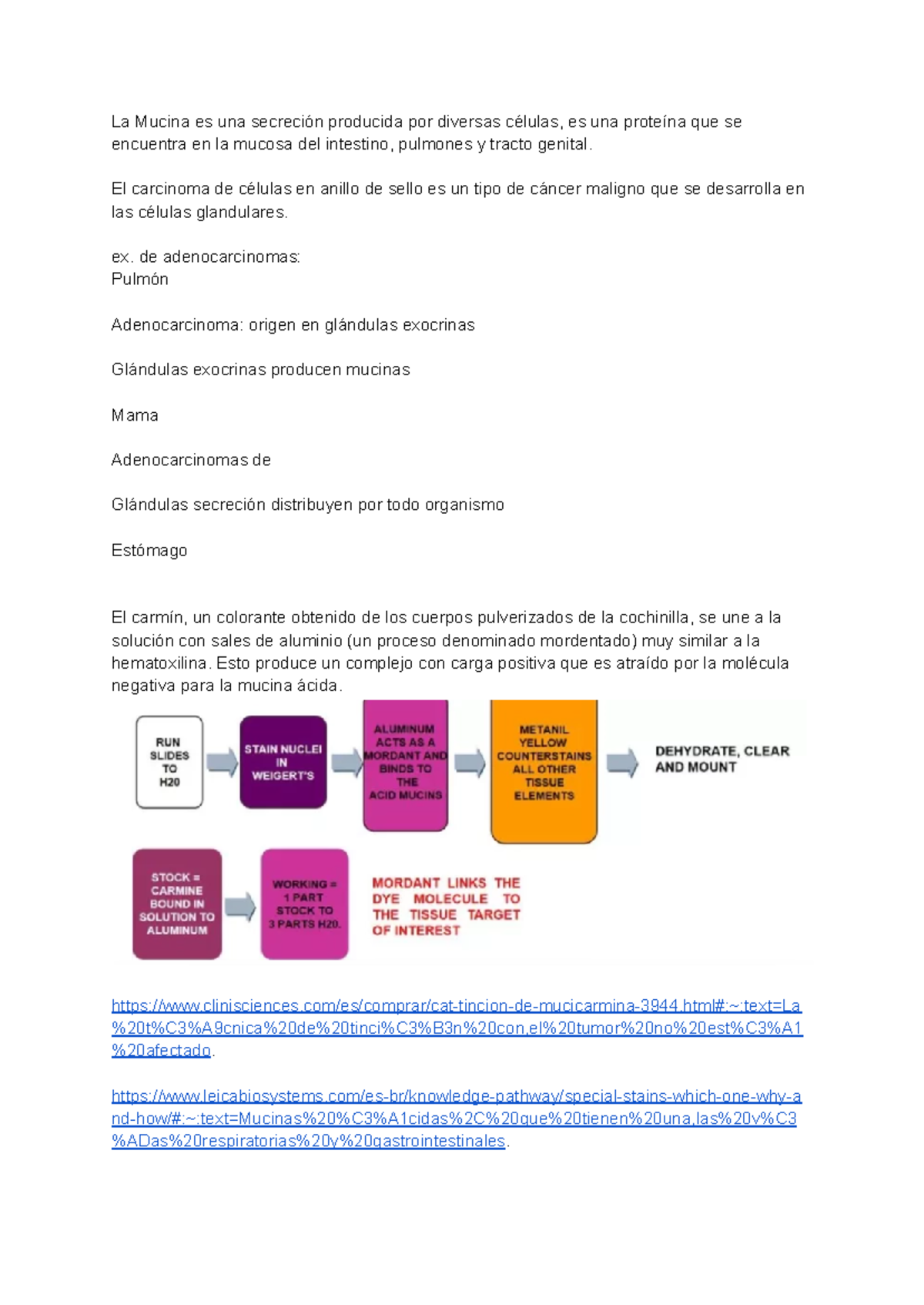 Mucicarmín explicación - La Mucina es una secreción producida por ...