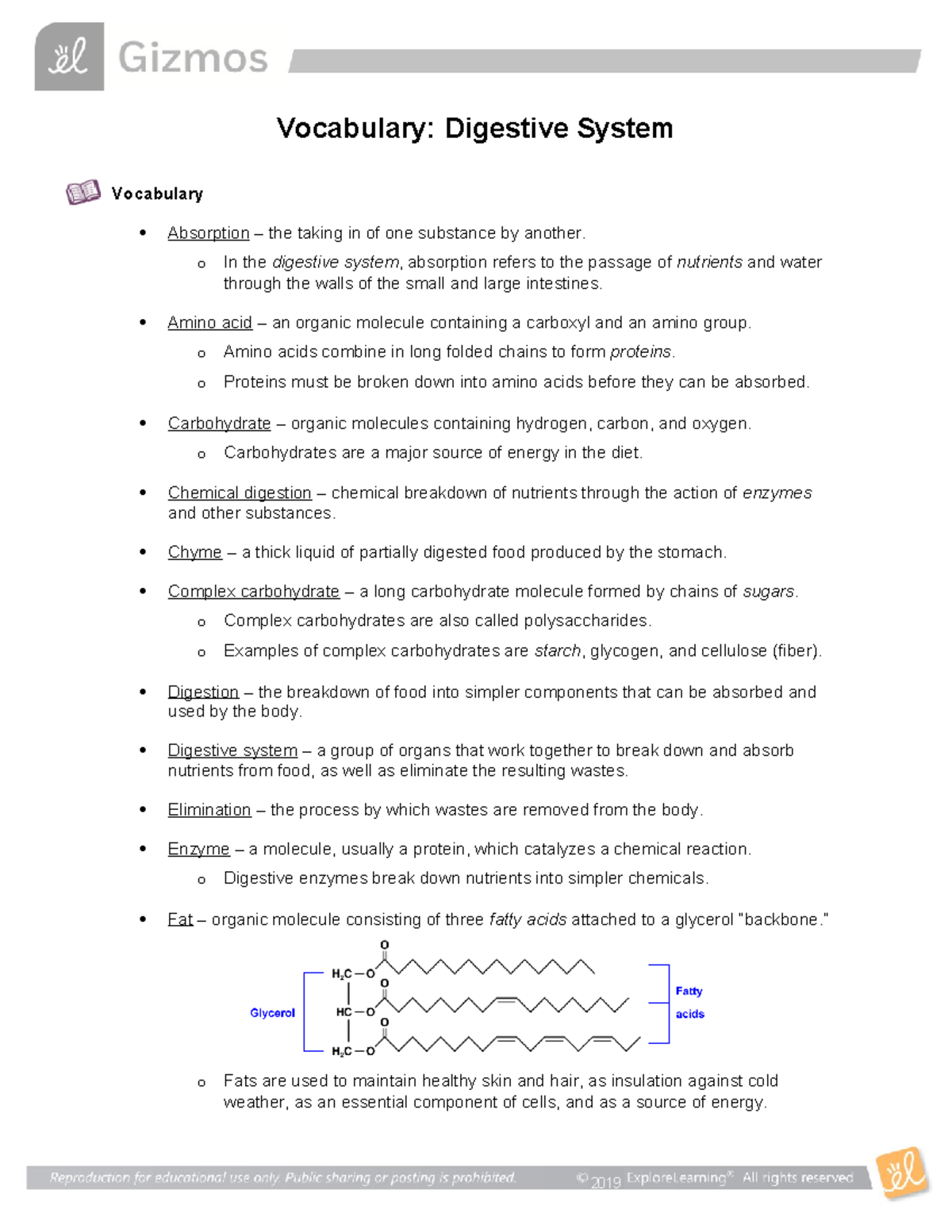 Digestive System Vocab - 2019 Vocabulary: Digestive System Vocabulary ...