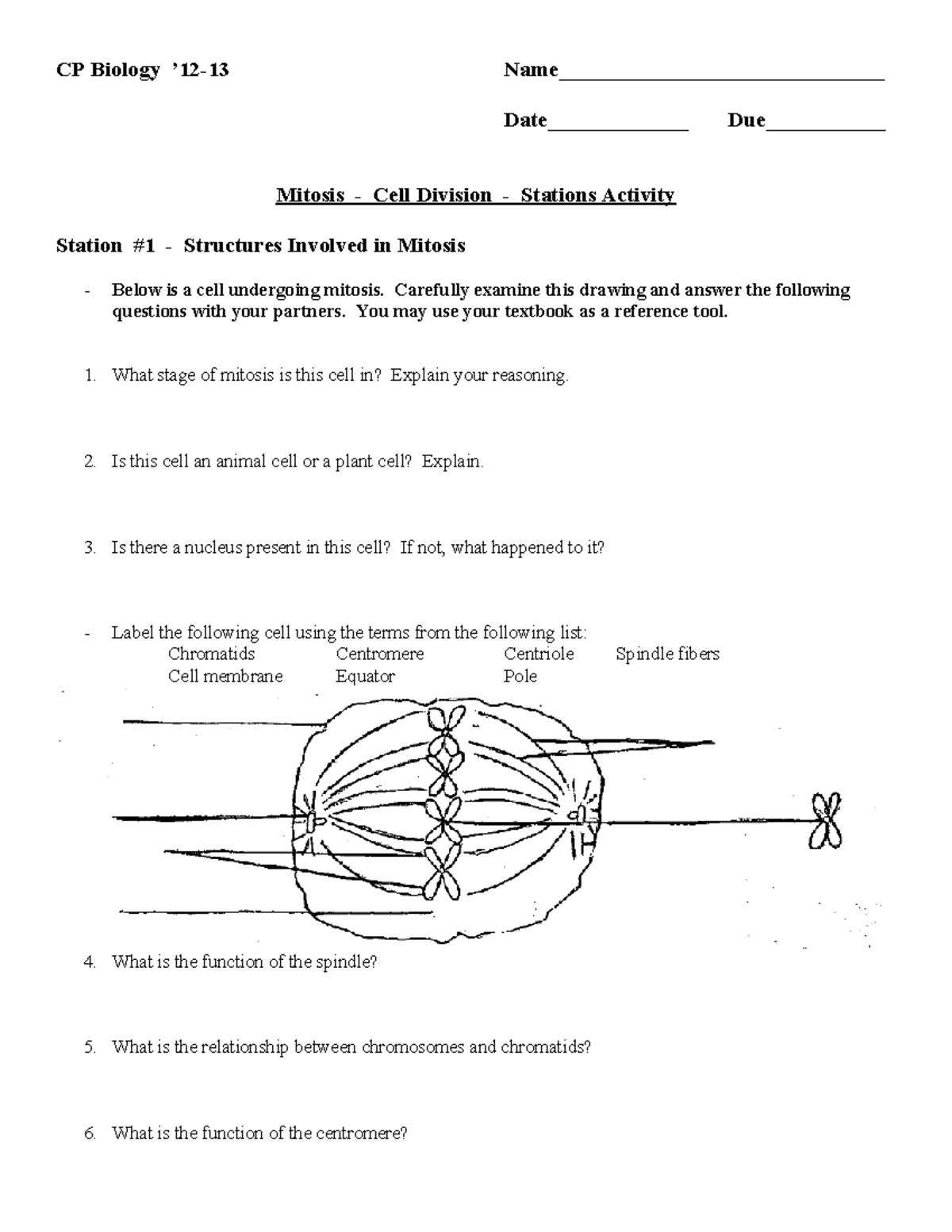 Mitosis Cell Division Station Activity - K-R - 12-13 - CP Biology ’12 ...