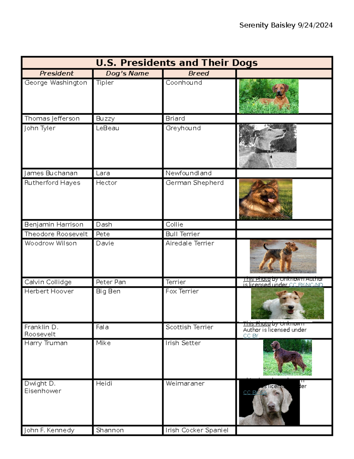 Presidents and Their Dogs - Serenity Baisley 9/24/ U. Presidents and ...