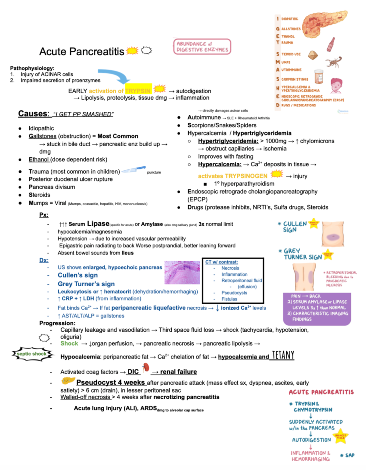 Acute Pancreatitis Notes - I DIOPATHIC G ALLSTONES E THANOL ABUNDANCE ...