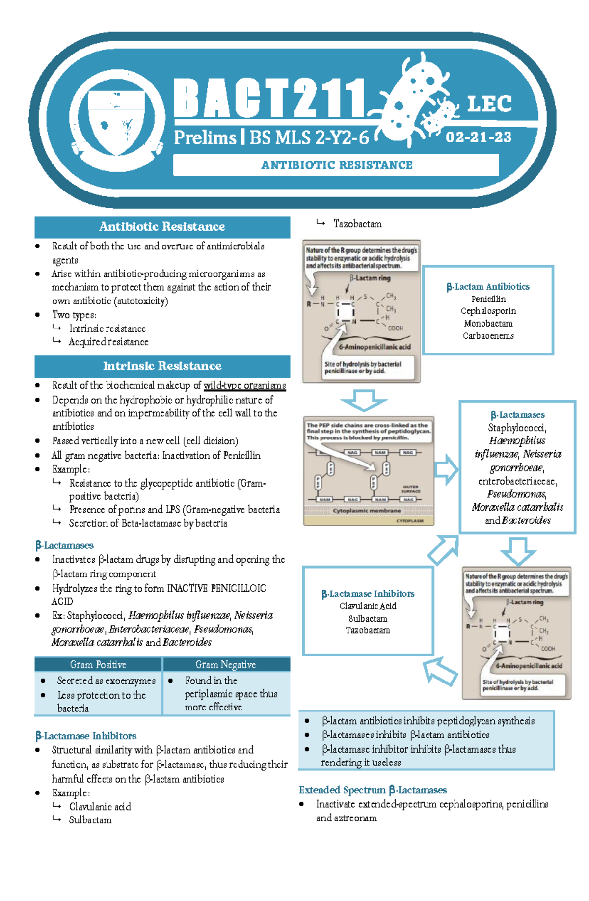 Inbound 7299228943718503947 - B A C T 2 1 1 Prelims BS MLS 2 - Y 2 - 6 ...