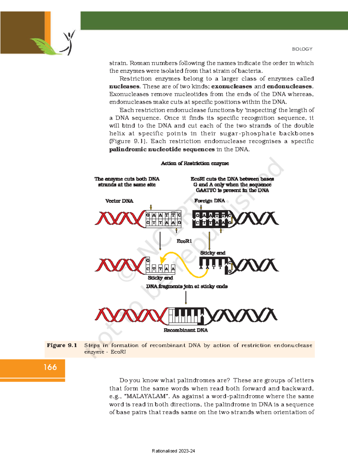 C2 - It explains clearly than NCERT book - 166 BIOLOGY strain. Roman ...
