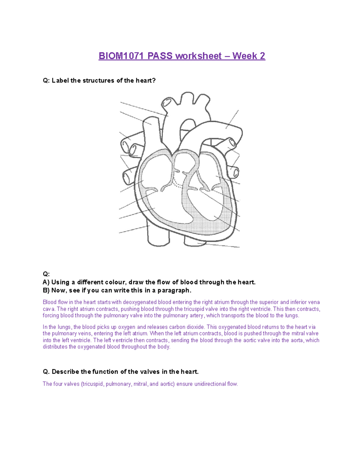 BIOM1071 PASS worksheet Week 2 Answers copy - BIOM1071 PASS worksheet ...
