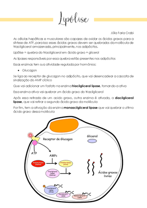 Síntese de Ácido Graxo - Nosso organismo é capaz de sintetizar Ác Graxo ...