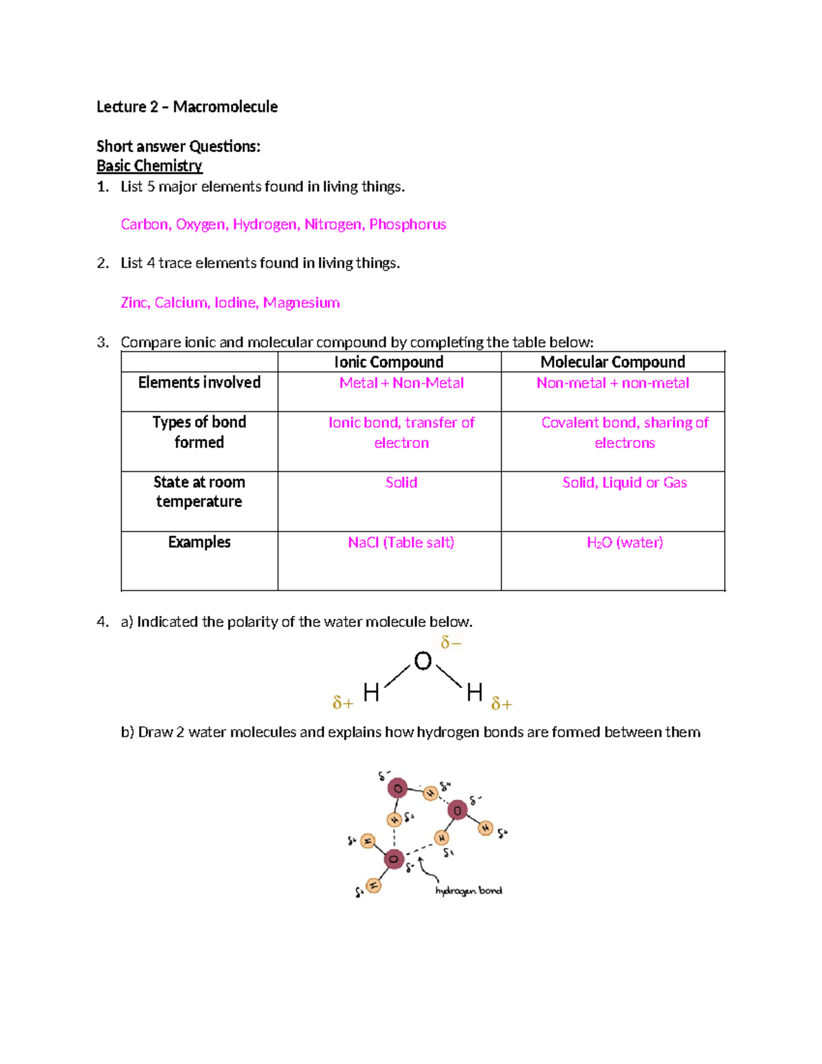 L2 - Macromolecules Answers - Lecture 2 – Macromolecule Short answer ...