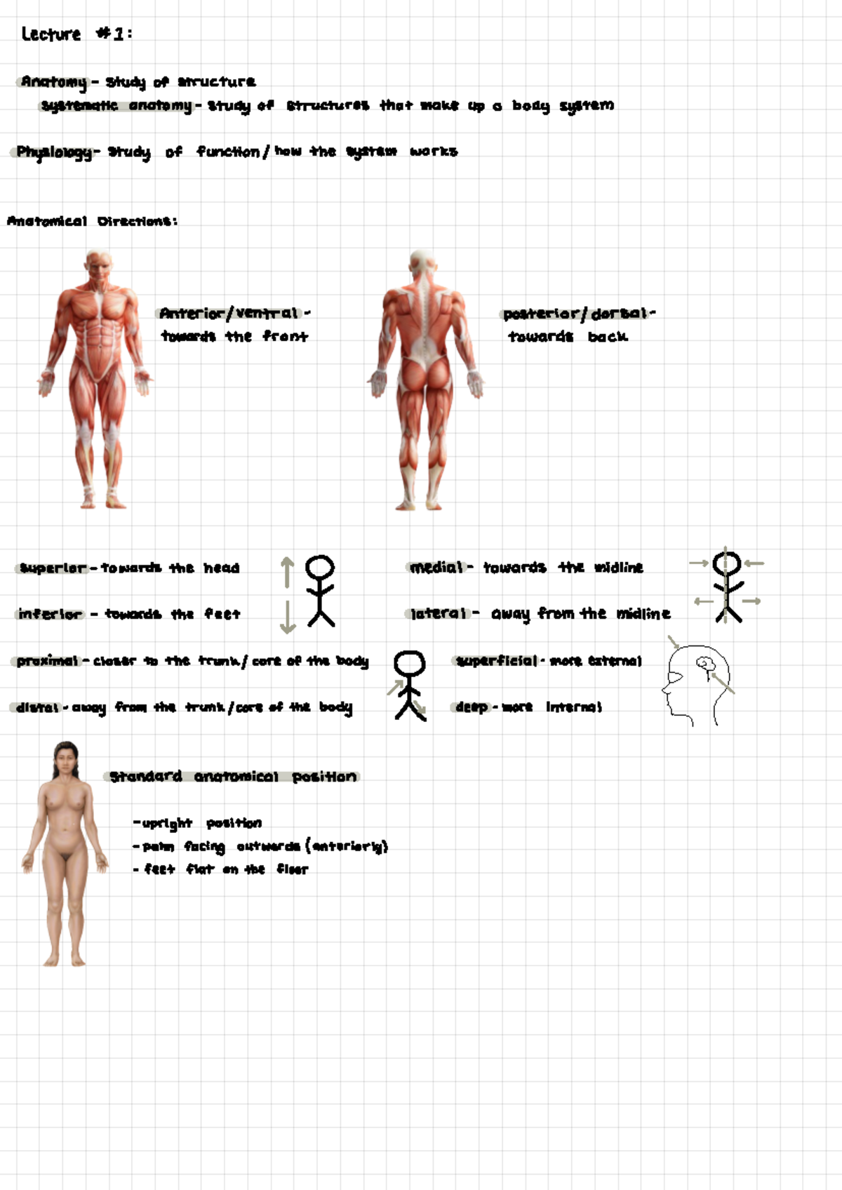 A&P Basics 1 - Lecture #1 : Anatomy - Study of structure systematic ...