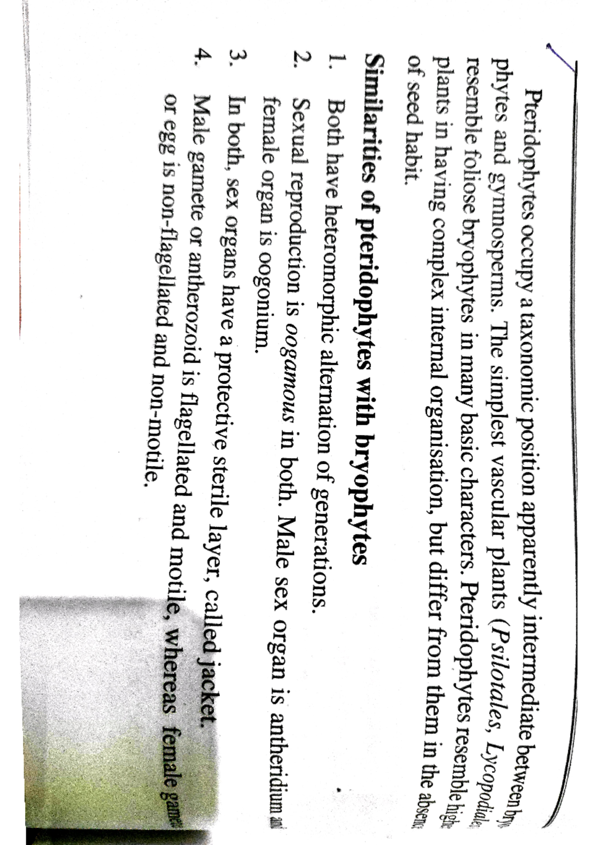 Affinity of pteridophytes - Bryology, Pteridology, Gymnosperms ...