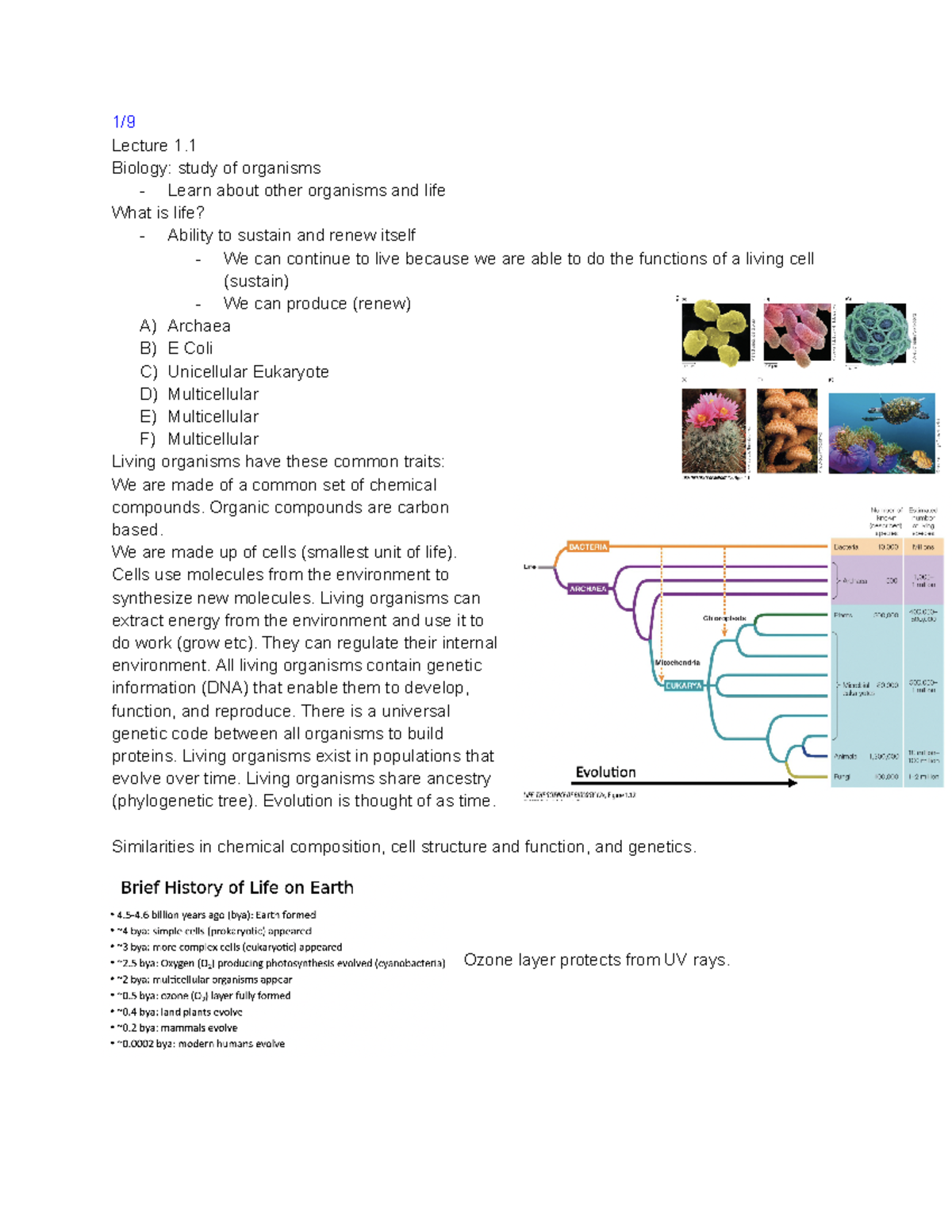 Lecture 1.1 - Google Docs - 1/ Lecture 1. Biology: study of organisms ...