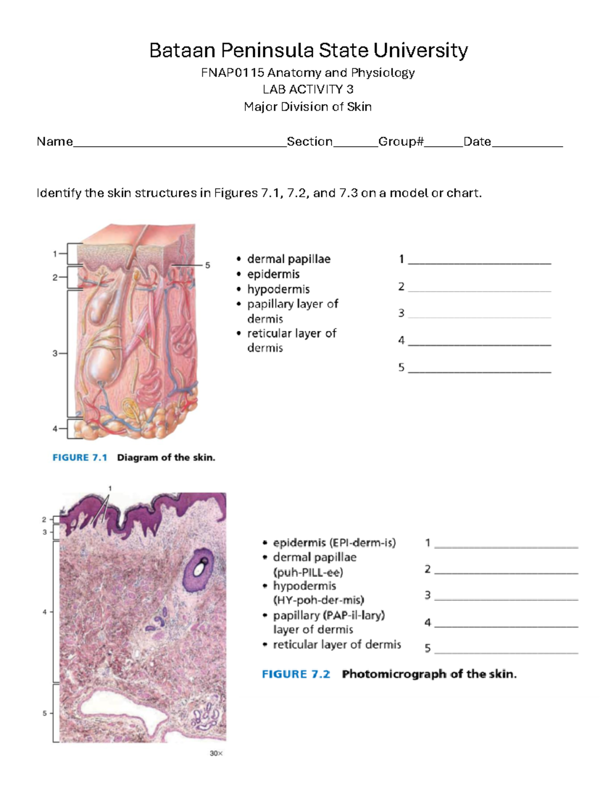 LAB 3 SKIN - RLE Integumentary - Bataan Peninsula State University ...