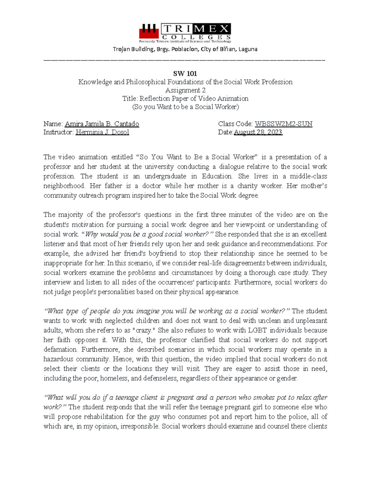 SW101 Reflection paper video SO YOU WANT TO BE A Social Worker ...