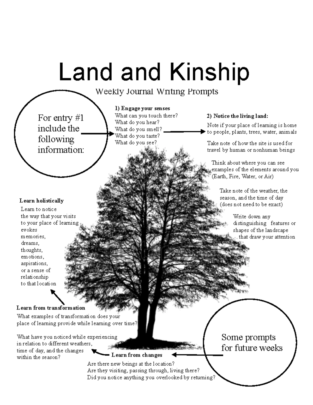 Weekly Journal Writing Prompts - EDUC 2300 Pedagogy of the land ...