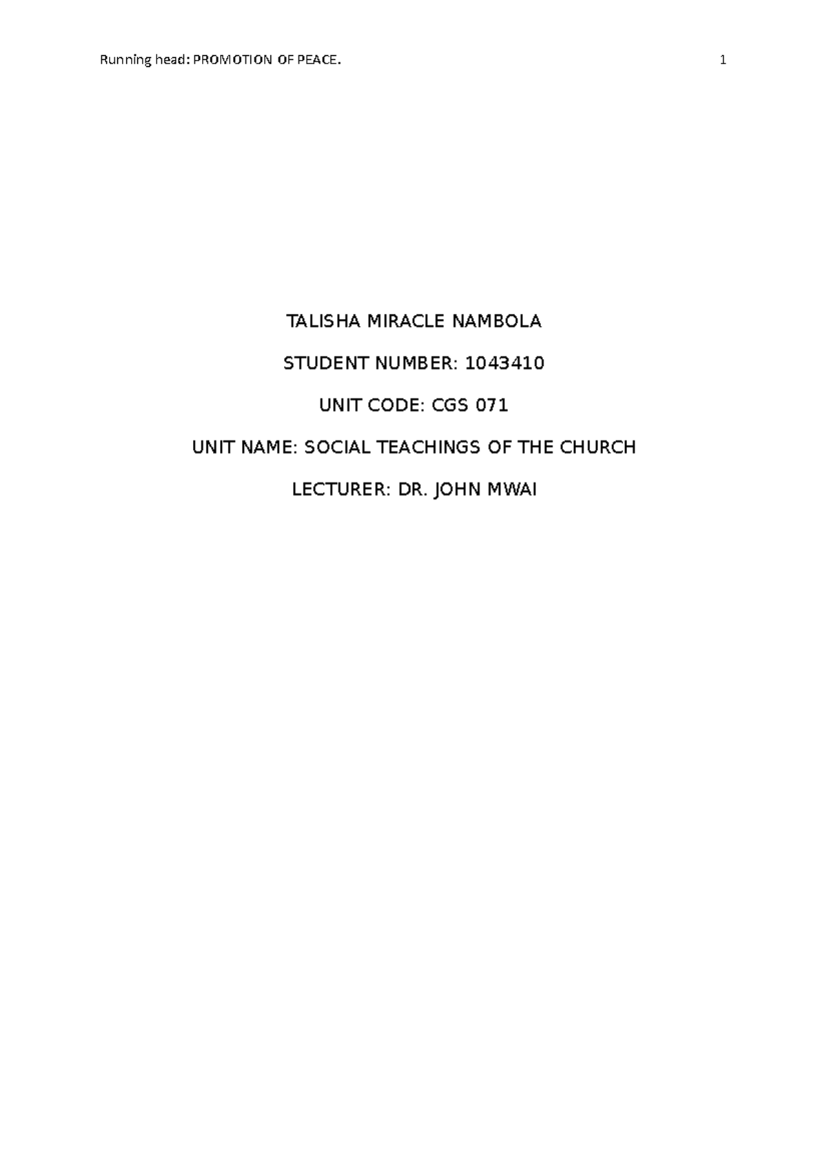 Promotion of peace assignment - Running head: PROMOTION OF PEACE. 1 ...