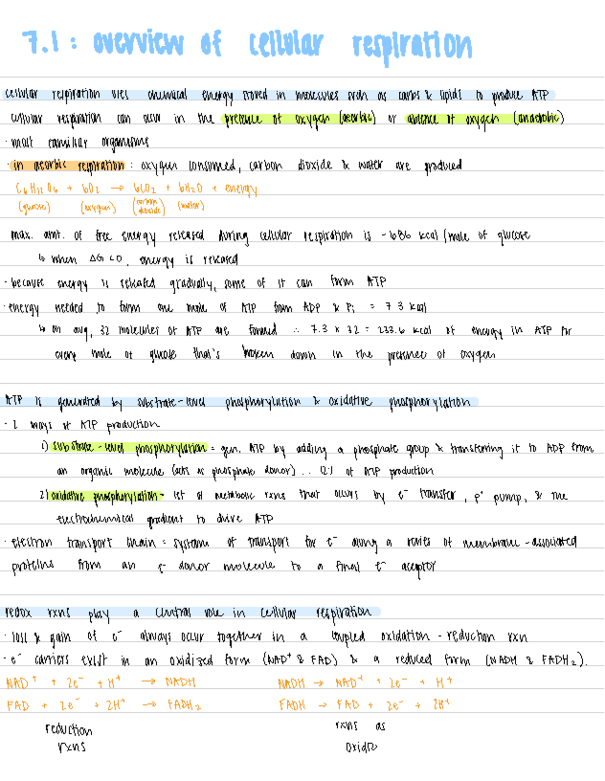 Ch 7 - TEXTBOOK READING - Biology: How Life Works - 7:overview of ...