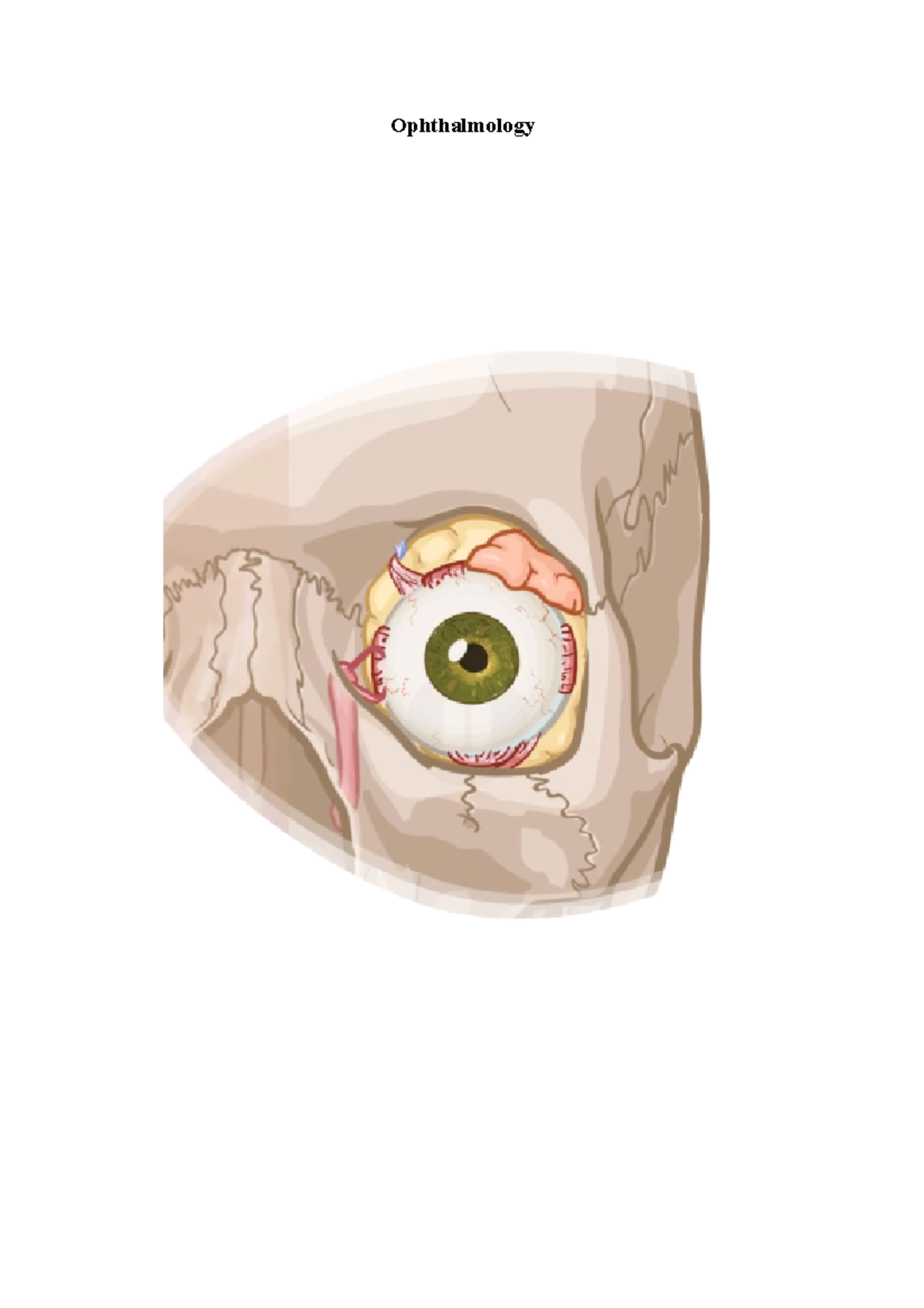 Ophthalmology - Opthalmology notes for year 3 medical students QUB ...