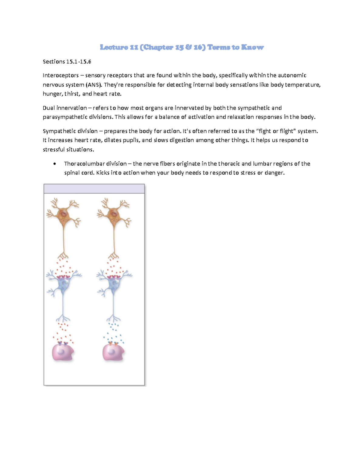 Lecture 11 Terms to Know - Lecture 11 (Chapter 15 & 16) Terms to Know Sections 15-15. - Studocu