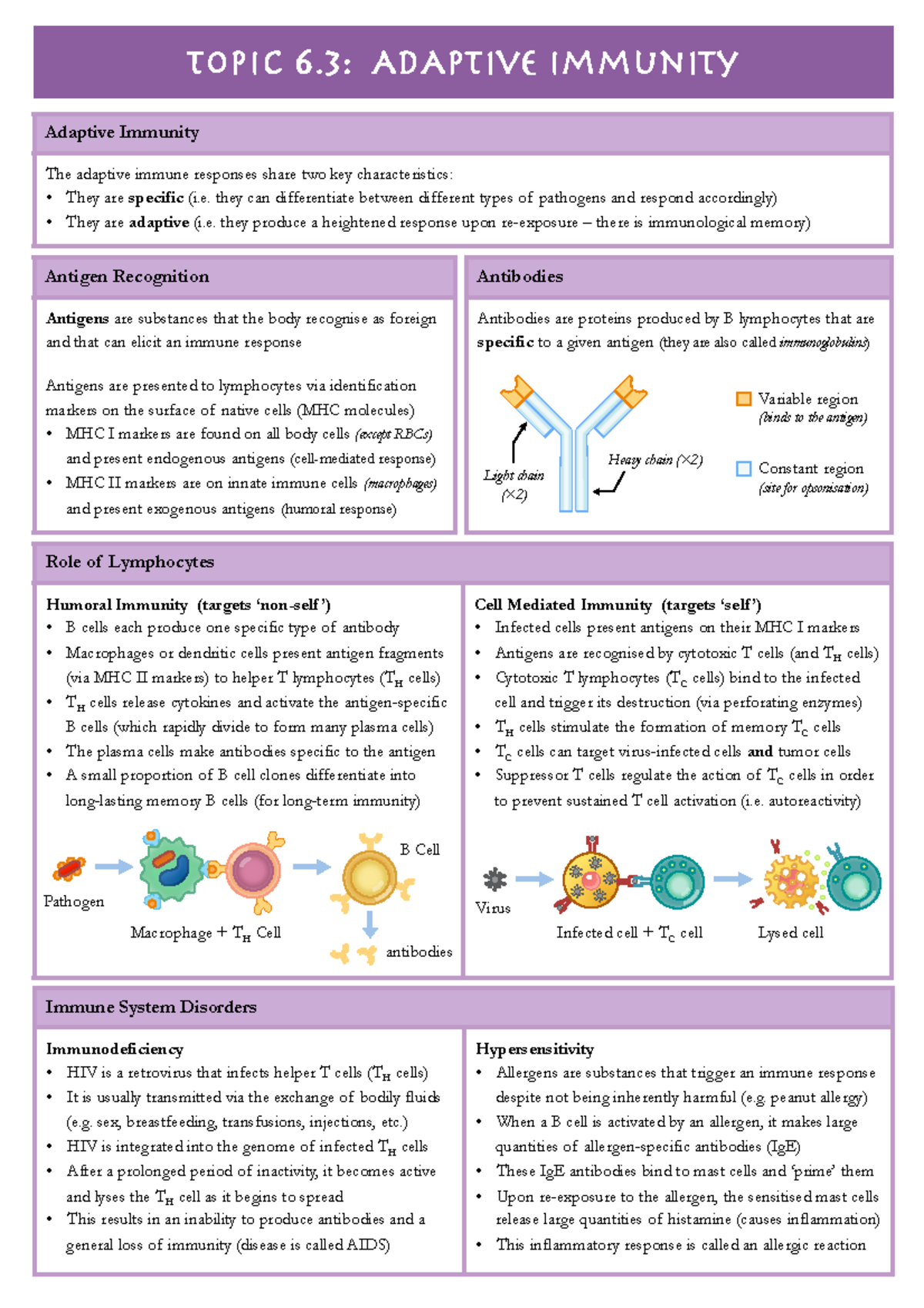 6.3 Adaptive Immunity - WEWEWE - Topic 6: ADAPTIvE ImmunITy Adaptive ...