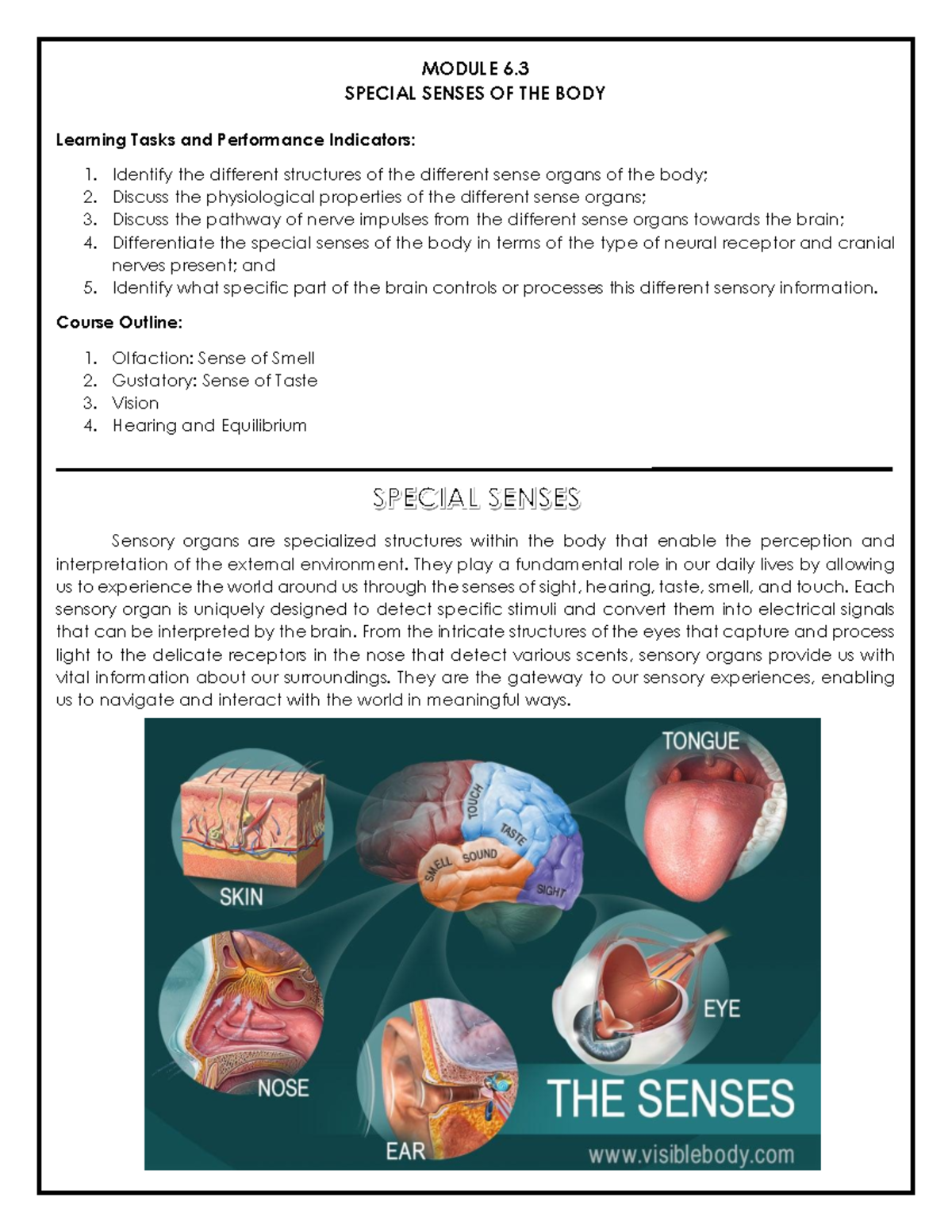 Module 6.3 THE Special Senses - MODULE 6. SPECIAL SENSES OF THE BODY ...